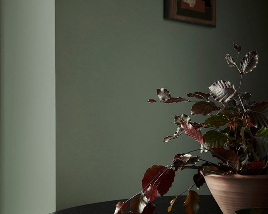 Little Greene Windmill Lane 296 Paint – Chapel Interiors